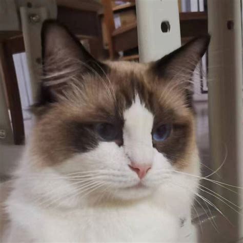 鼠标宏教学：这些合法宏能让操作更流畅游戏功能罗技