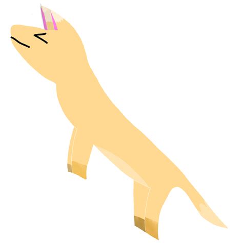 Llama Fox By Dragodreamtreaures On Deviantart