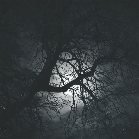 Free Spotify Premium Account Generator Discord Datesbrown