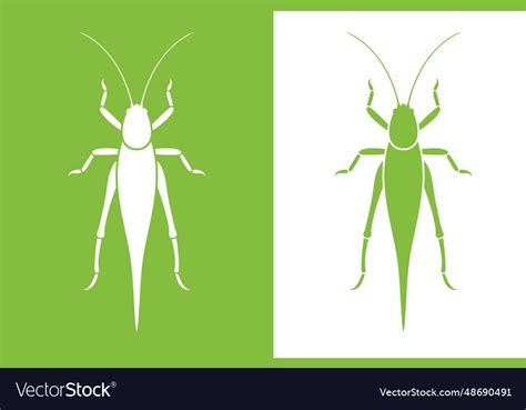 Grasshopper Royalty Free Vector Image Vectorstock