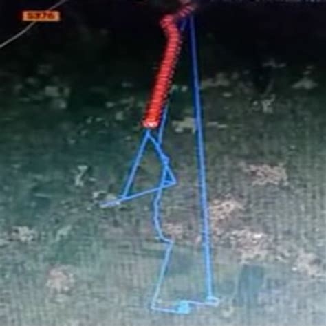 Trajectory Monitoring Effect Chart Download Scientific Diagram