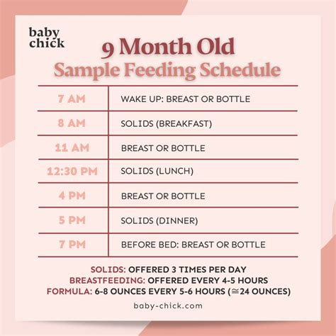 8 To 9 Months Old Feeding Schedule Ultimate Guide For Healthy Growth