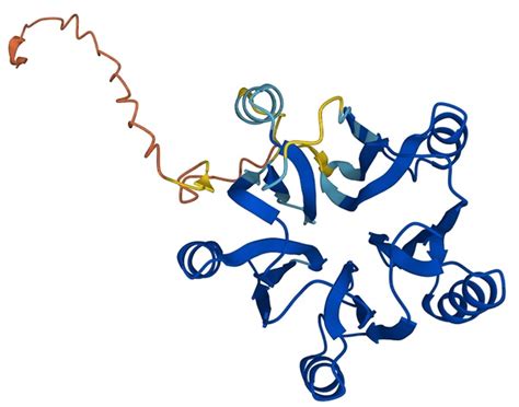 La Quasi Totalité Des Structures De Protéines Désormais Prédites