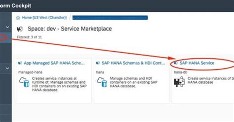 develop deploy and debug a hana node js app xsjs using hana dbaas on