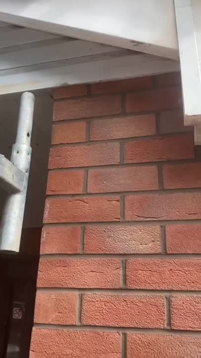 [video] John Bellis On Linkedin Perfect Pointing With No Second Clean Here At Slippoint The