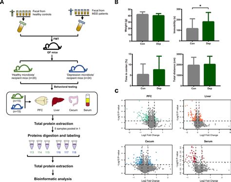 Workflow Of This Study A Experimental And Proteomics Workflow Of The