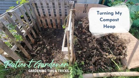 Turning A Compost Heap Patient Gardener