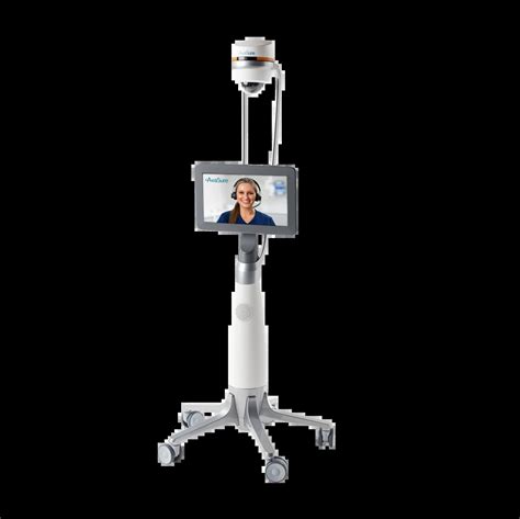 Virtual Sitting Avasure