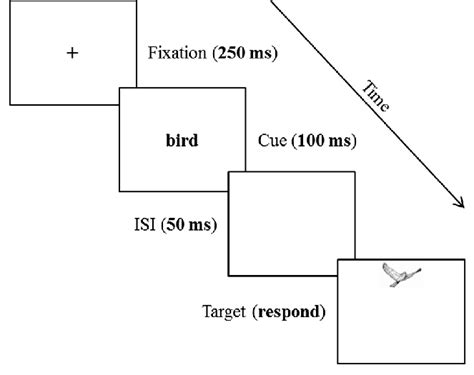 Trial Procedure Of Experiments 1 And 2 Illustrating A Trial With An