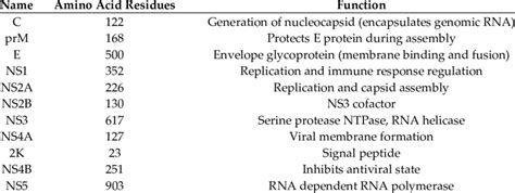 The Table Shows The Structural And Nonstructural Zikv Proteins From The