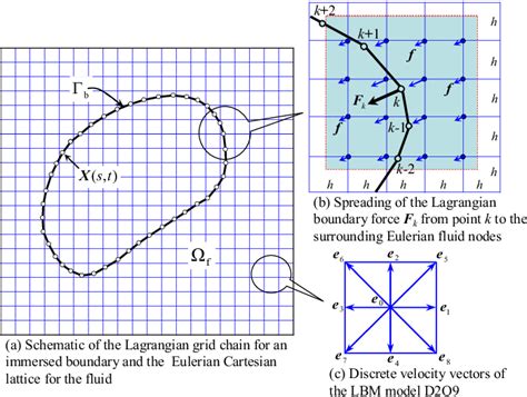 Figure 1 From Immersed Boundary Lattice Boltzmann Coupling Scheme For Fluid Structure