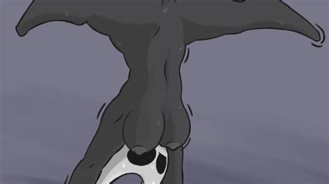 ULTIMATE Hornet Hollow Knight Compilation Porn Videos