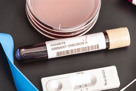Anvisa Confirma Primeiros Casos Da Variante Ômicron No Brasil Capricho
