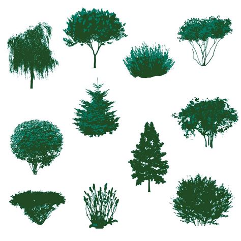 brush photoshop png tree bush кисти фотошоп пнг in 2023 Instagram photo Photo and video