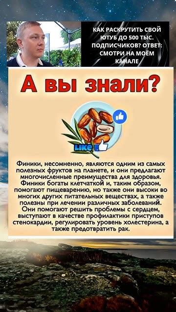 ЭТО ПРОСТО ШОК Youtube