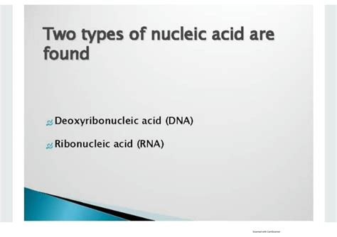 Solution Structure And Classification Of Nucleic Acid Studypool