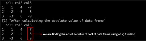 Calculating Absolute Value Using Abs Function In R