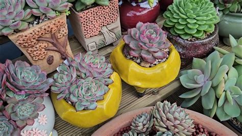 나머지 반~~~~ 국민이들 보여드려요 Youtube