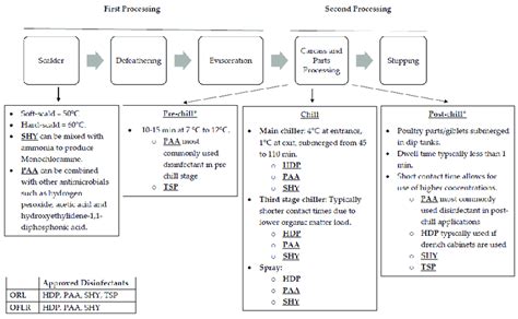 A General Schematic Overview Of Commercial Poultry Processing The Download Scientific Diagram