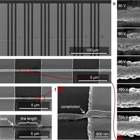 Sem Micrographs Of Sub Micrometer Copper Lines Printed By Ehd Rp Across Download Scientific