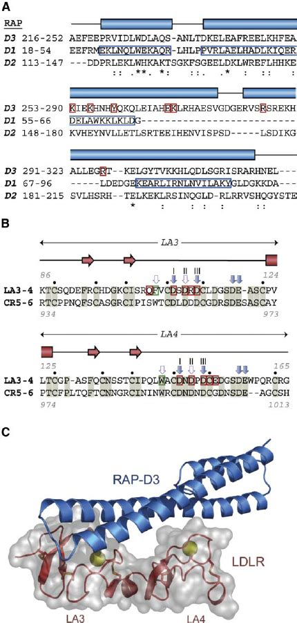Sequence Alignment And Structure Overview Download Scientific Diagram