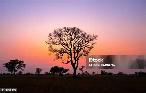 파노라마 푸른 하늘과 여름 들판에 어두운 구름 푸른 하늘 배경에 푹신한 구름 여름 폭풍 전에 어두운 구름 위에 생생한 하늘 0명에 대한 스톡 사진 및 기타 이미지 Istock