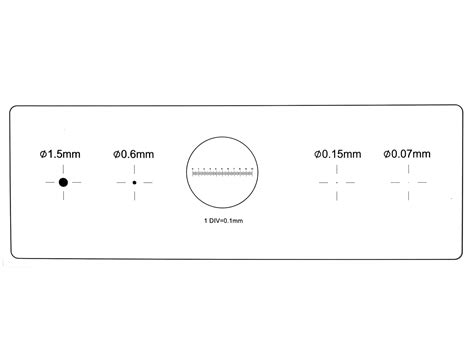Microscope Slide With Scale At Amparo Roberts Blog