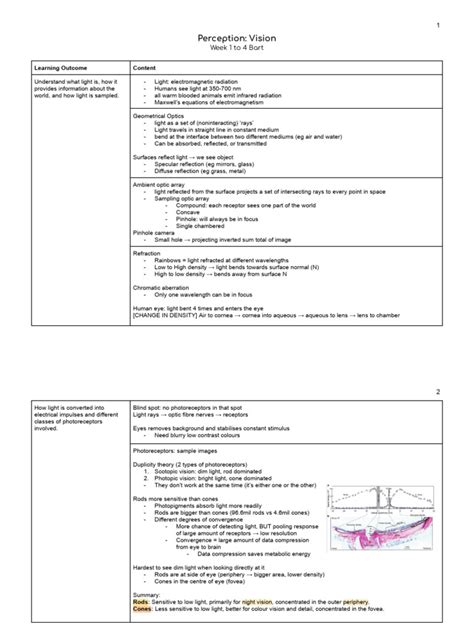 Usyd Psyc2016 Notes 2024 Pdf Color Auditory System