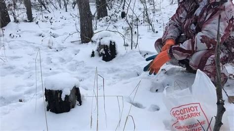 Охота на Зайца Беляка с капканами Заяц Беляк Установка капканов Смотреть онлайн в