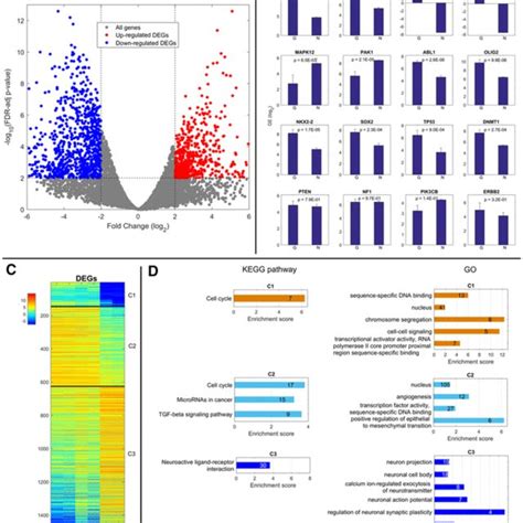Deg Expression Patterns And Corresponding Biological Download Scientific Diagram