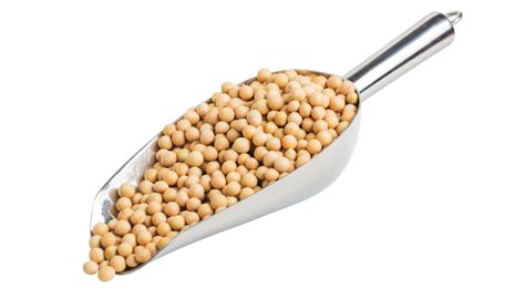 Sort Your Soya Chunks For Protein Benefits Fitpass