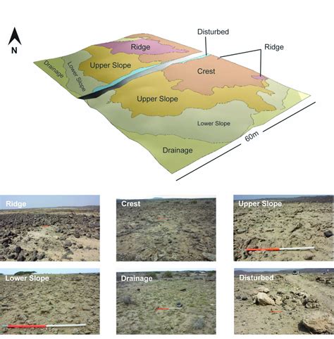 Topographic Map Of Landform Units Defined Across Grids L01060130 And Download Scientific