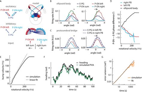 Figures And Data In Angular Velocity Integration In A Fly Heading