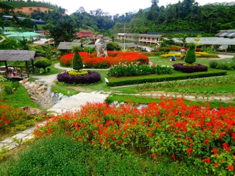 สวนไม้ดอกเมืองหนาวเบตง หมื่นบุปผา Betong