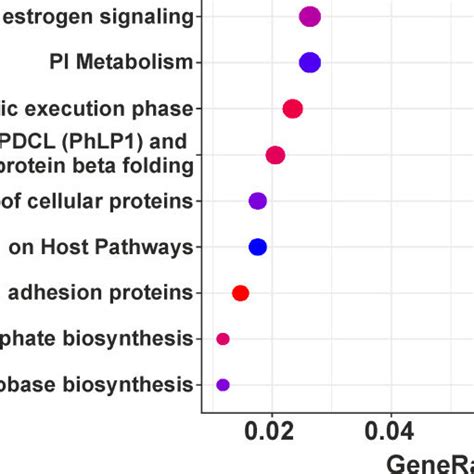 Dotplot Enrichment Map Showing Cellular Pathways Associated With Download Scientific Diagram