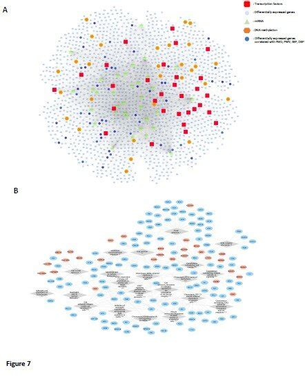 Integration Of The Multi Omic Data A Integrated Analyses Of