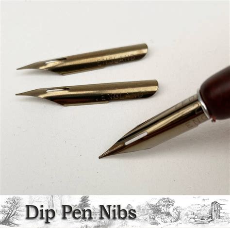 Drawing Dip Pen Nibs Excellent For Versals And Tendrils Especially When Illustrating The