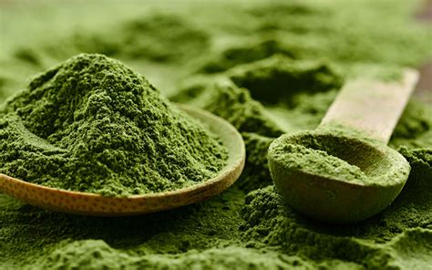 Is Broken Cell Wall Chlorella Better Your Health Detective