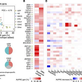 Deconvolution Of DNA Sequence And Shape Features At Flanking Regions Download Scientific