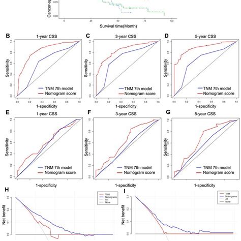 A Nomogram Predicting 1 3 And 5 Year Css Of Patients With Pccaa