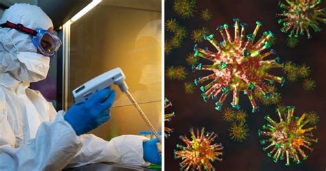 The Uk Double Mutant Variants Now Dominant Strains In Karnataka