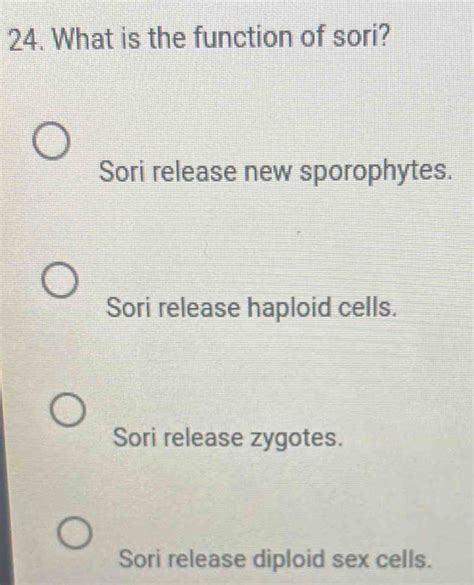 Solved 24 What Is The Function Of Sori Sori Release New Sporophytes