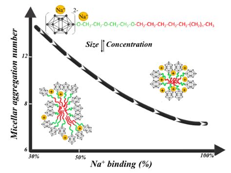 Boron Cluster Compounds As Building Blocks For Designing Of Functional
