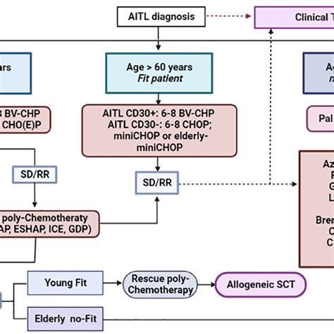 Angioimmunoblastic T Cell Lymphoma Aitl A C Hematoxylin Eosin