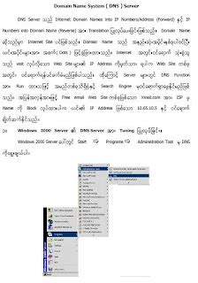 Domain Name System DNS Server ဒလကအနလင