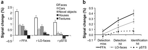 Involvement Of Face Selective Regions Of Interest In Face Detection And Download Scientific