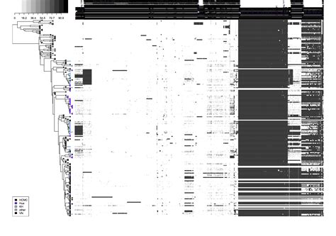 Plotting Trees Data Holt Lab