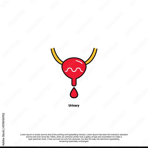 Urinary Incontinence Condition Loss Of Bladder Control Urologic