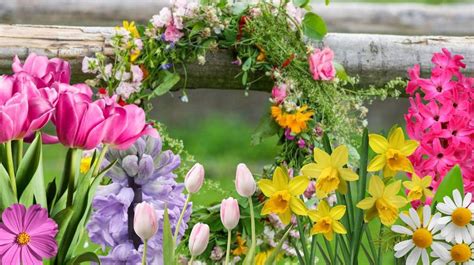 Традиции и суеверия Какво се прави със старите върбови клонки от Цветница Новини Варна