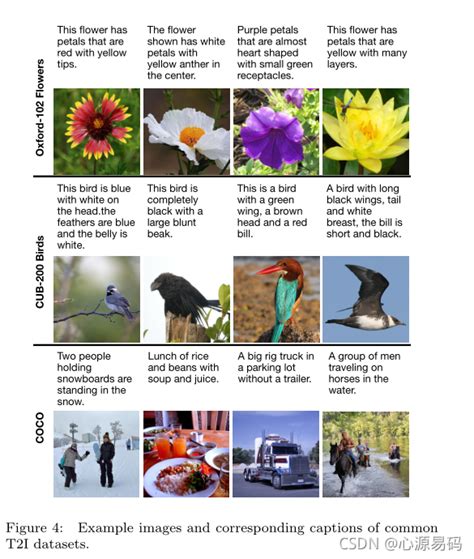 Text To Image综述阅读 基于gan的文本生成图像 介绍、原理、发展、定量指标和未来方向 云社区 华为云